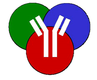 2025 27th Annual Upstate New York Immunology Conference – Program ...